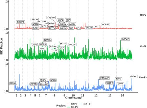 Genome Wide Distribution Of Identity By Descent Ibd Fractions Across Download Scientific