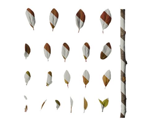 Artstation Anydrafts Prunus Cerasifera Leaf 01 Texture Game Assets