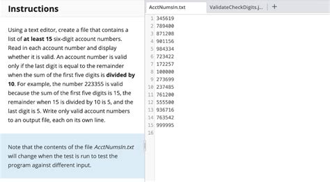 Solved Instructions Acctnumsıntxt Validatecheckdigitsj