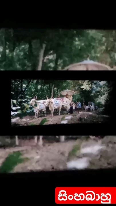 සිංහබාහු සිංහල චිත්‍රපටය Sinhabahu Sri Lanka C Sri Sinhala Sinhabahu Youtube