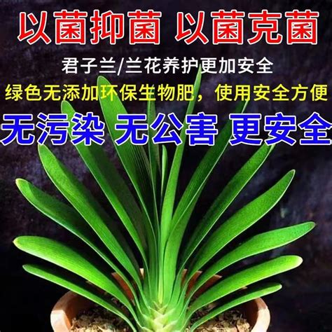 限时免费君子兰杀菌剂兰 大卖网