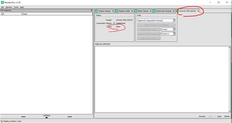 API Cant Activated Issue Baldurk Renderdoc GitHub