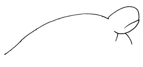 How To Draw A Turtle In Just A Few Easy Steps Bujo Babe