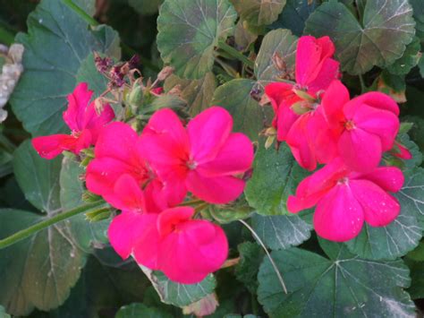 Моя фотографія