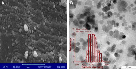 The A SeM And B TeM Images And Particle Size Distribution Inset Download Scientific