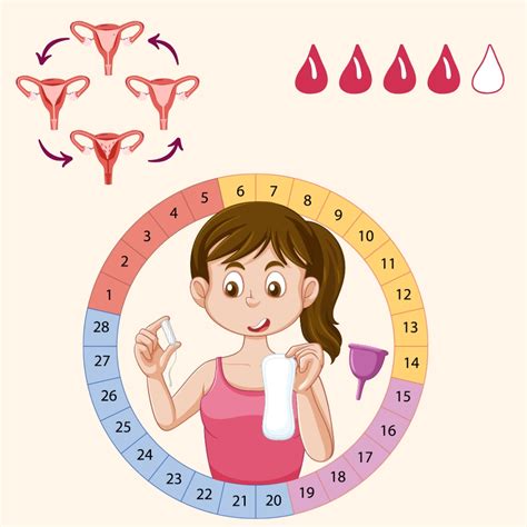 Menstrual Disorders Causes Symptoms And Care By Dr Shilpa