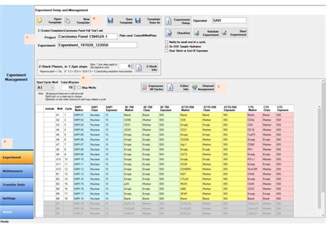 Multiplexed Barcoding Image Analysis For Immunoprofiling And Spatial