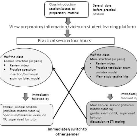 PDF Genital Examination Training Assessing The Effectiveness Of An Integrated Female And Male