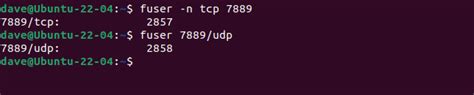 Как убить процесс Linux по номеру порта Cpab