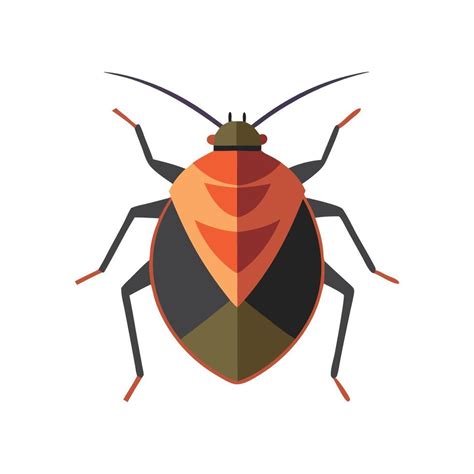 Stink Bug Insect Isolated Flat Illustration White Background 50073380