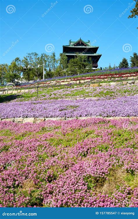 Beijing World Garden Expo China Stock Image Image Of Yongning