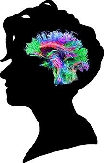 Inductive Thinking With Visual Tools The Pedagogy Of Confidence Homepage