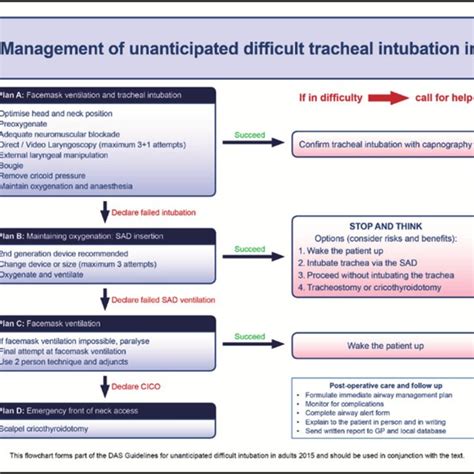 Tongue Volume Usg Measurement Black Star Tongue Black Arrow Tongue Download Scientific
