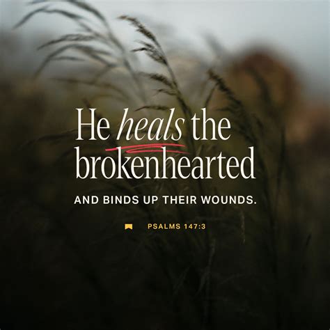 Psalms 1473 Nrsvue He Heals The Brokenhearted And Bind Youversion