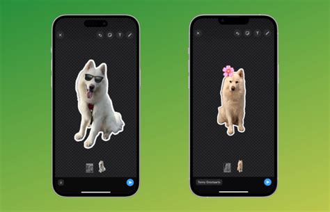 This New Feature Makes Your Whatsapp Much More Fun Techzle