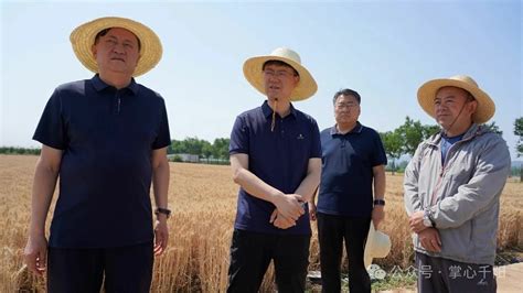 千阳县人民政府