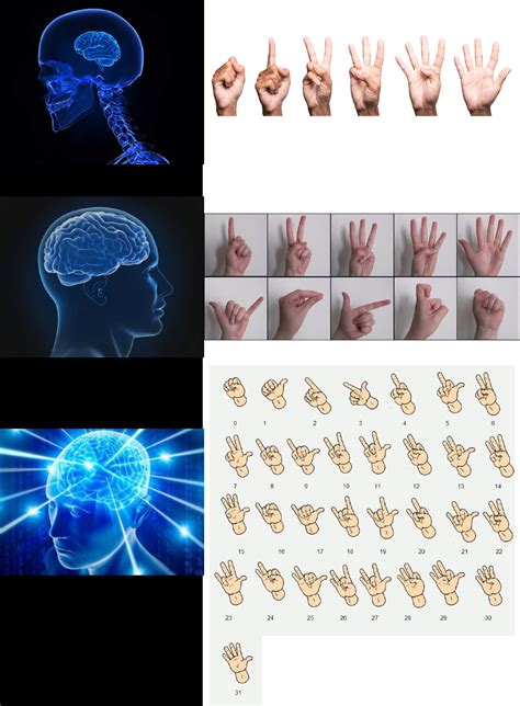 Do Bitwise Operations By Hand Or Count To 1023 Rprogrammerhumor