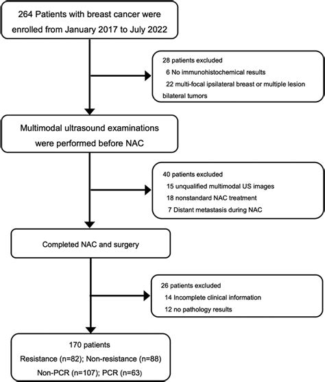 Diagram Of Patient Recruitment Process Abbreviations NAC Neoadjuvant Download Scientific