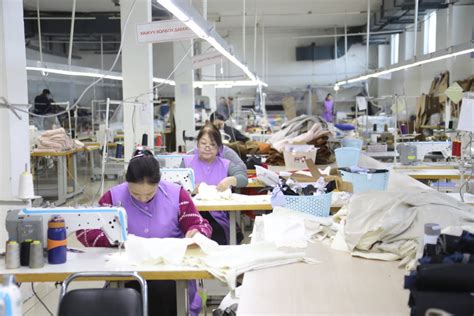 Хөнгөн үйлдвэрлэлийг дэмжихэд чиглэсэн үндэсний хөтөлбөр хэрэгжинэ Хүнсний хувьсгал