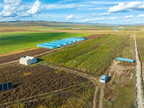 Отгон Баян “Боломж бол өгөгдсөн зүйл биш — бүтээдэг зүйл ” Бид тусгай хэрэгцээтэй залуусын