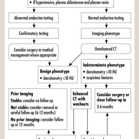 Tnm Classification System For Differentiated Thyroid Carcinoma