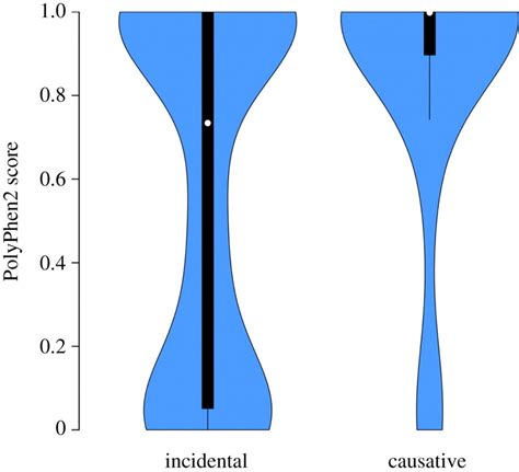 violin plot comparing polyphen2 scores for incidental and causative
