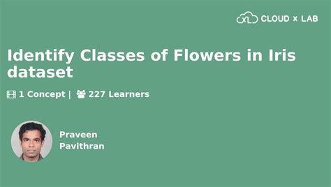 Identify Classes Of Flowers In Iris Dataset Cloudxlab