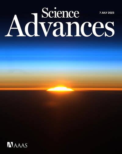 Dna Nucleotide Microarray Laboratories Dna Script