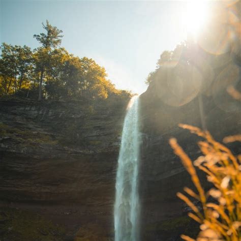 Stream Distant Light By Linear Curb Listen Online For Free On Soundcloud