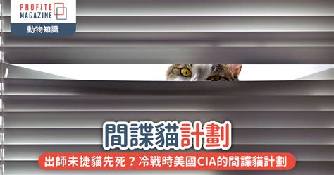 Profite Magazine 間諜貓計劃出師未捷貓先死冷戰時美國CIA的間諜貓計劃