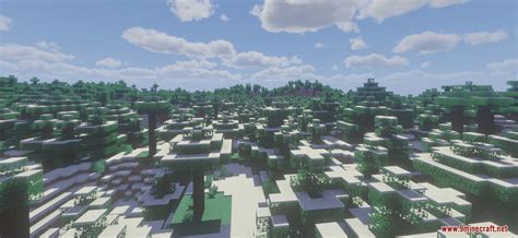 Raspberry Shaders 1 19 2 1 18 2 Free Version Of Mollyvx Mc Mod Net