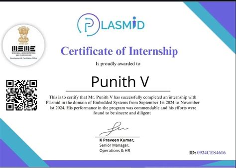 punith v on linkedin internship embeddedsystem learningjourney gratitude plasmid