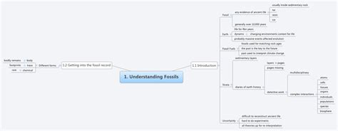 1 Understanding Fossils Xmind Mind Mapping Software