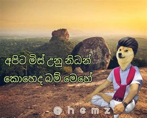 දැන් නිදන් කියලා කිව්වට ඉස්සර අපි ඒකට කිව්වේ කියලා රටම කැලඹූ වඳුරව නිධානය ගැන බුකිය