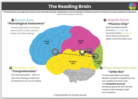 Westshore School Structured Literacy