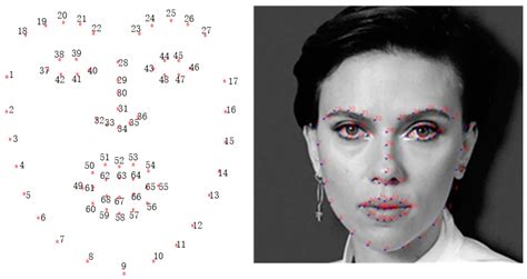 A Depression Recognition Method Based On The Alteration Of Video Temporal Angle Features