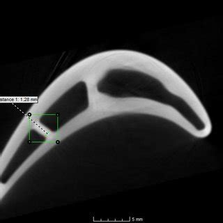 The Image Of The Gas Turbine Vane With Determined Thickness Of Its Download Scientific Diagram