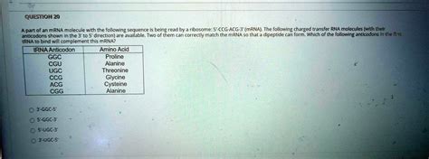 Question 20 Apart Of An Mrna Molecule With The Following Sequence Being