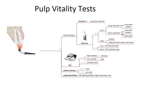 Pulp Vitality Test News Dentagama