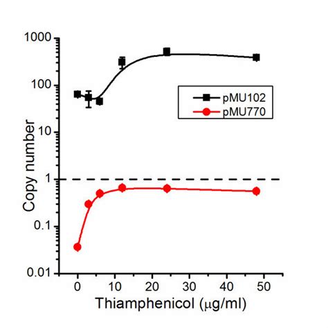 Plasmid Copy Number Vs Temperature Panel A Shows The Plasmid Copy Download Scientific Diagram
