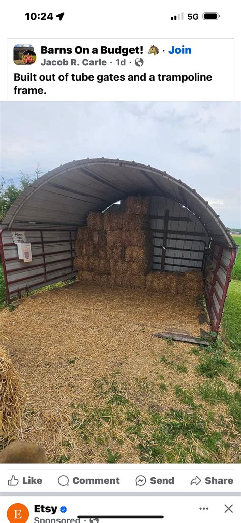 Cute Goats In A Barn