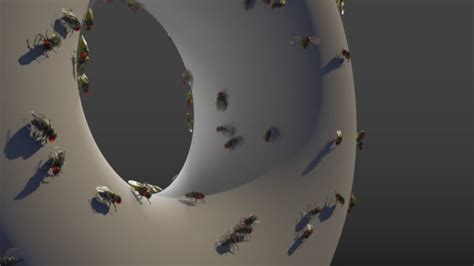 Houdini Crowds Fx Zombie Battle Tank Artofit