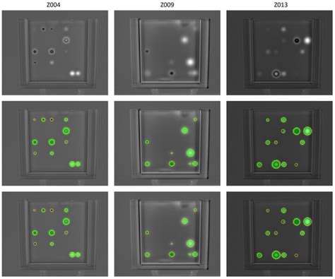 Pulsed Thermography Dataset For Training Deep Learning Models