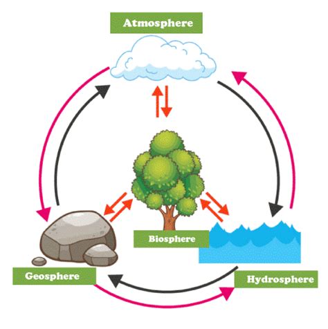 Biosphere Origin Components Importance Examples