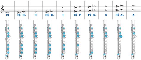 Flute Fingering Chart Toplayalong Com