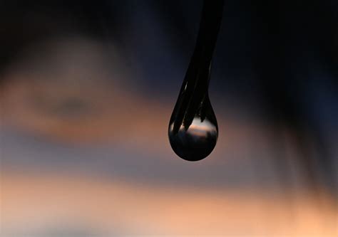 Single Drop Of Sunset Shutterbug