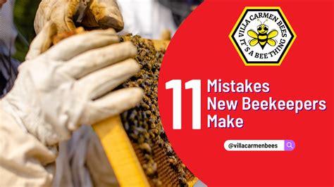 11 Essential Tips For Beginner Beekeeping Avoiding Common Mistakes
