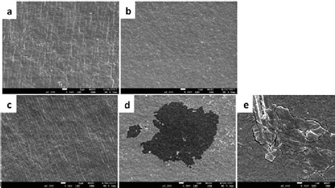 Scanning Electron Micrographs Sem Of A Pristine Ldpe Aem 100