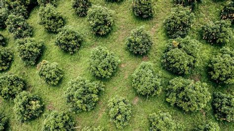 Landscape Detection Object Detection Dataset And Pre Trained Model By Biem