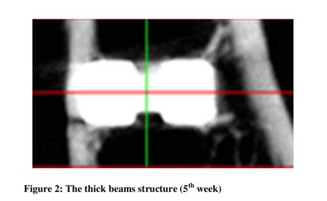 In Vivo Micro Ct Rmct Download Scientific Diagram